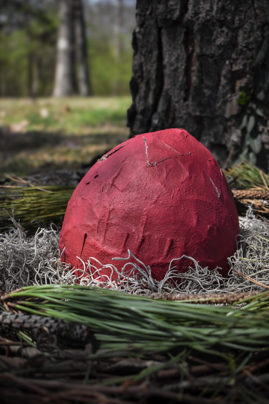 Hatchable Red Dragon Egg With Plush Dragon - Etsy