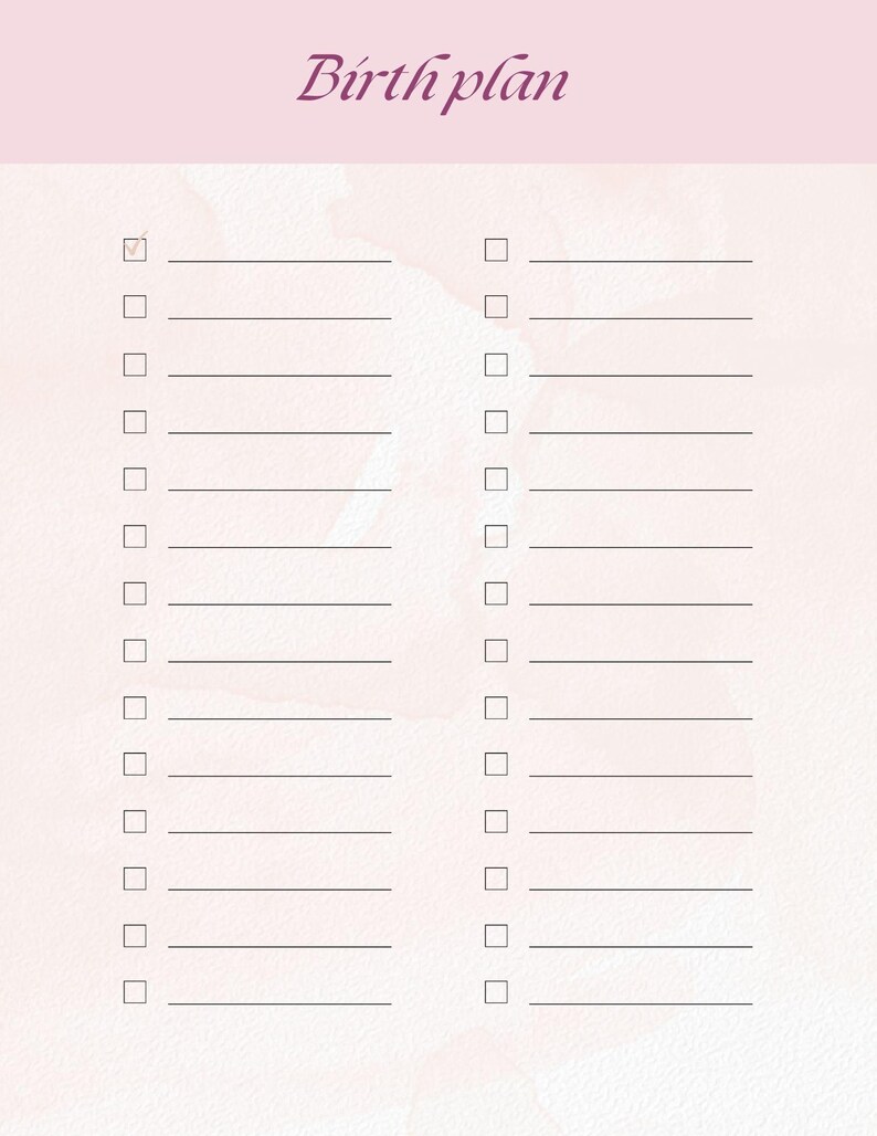 Digital Pregnancy Planner Your Ultimate Guide to a Joyful Pregnancy ...