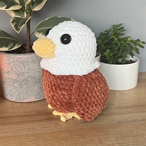 Derpy Crochet Eagle Plushie - Etsy