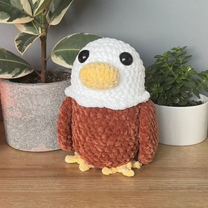 Derpy Crochet Eagle Plushie - Etsy