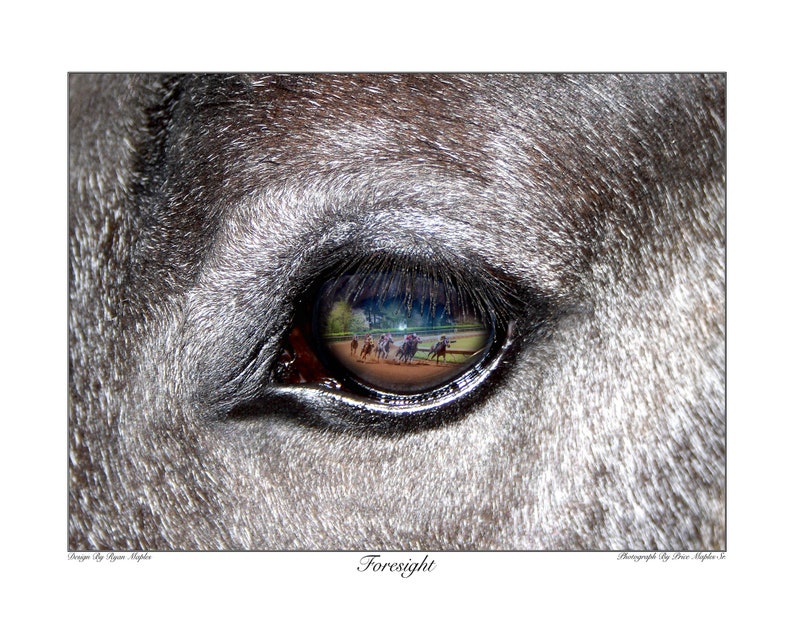 Foresight Kentucky Fine Art Print of A Horse Eye Photographed by Price Maples Sr. and Designed ...