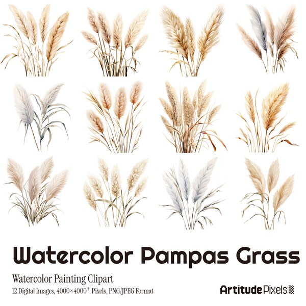 Pampas Grass Clipart - Etsy