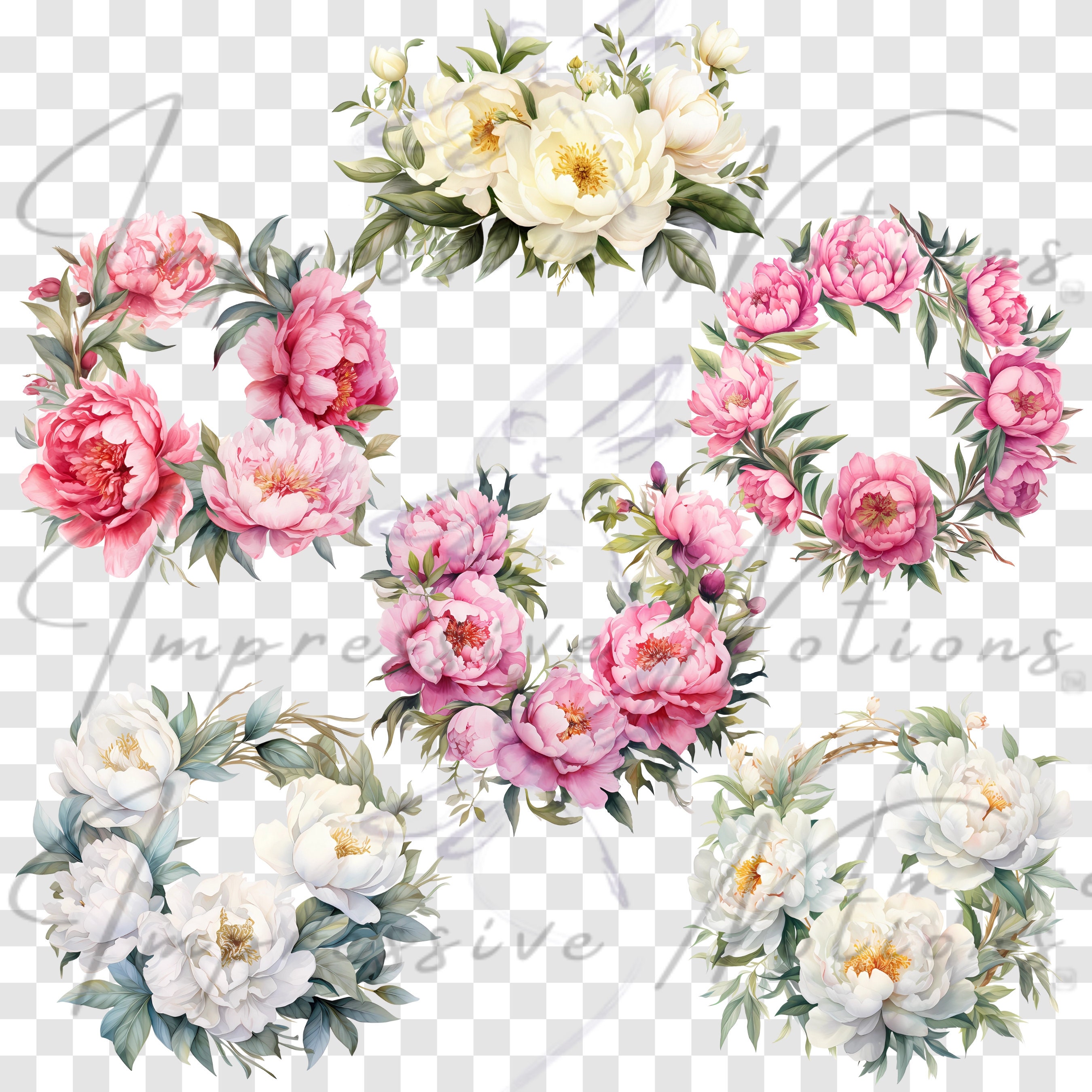 Spring Peonies Watercolor Clipart Elements, Transparent Digital Png's ...