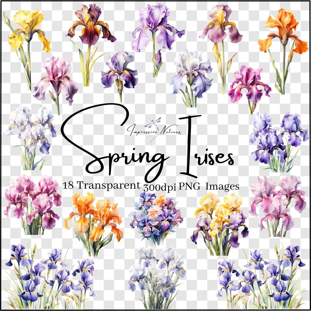 Spring Irises Watercolor Clip Art Images, Transparent Digital Png's ...