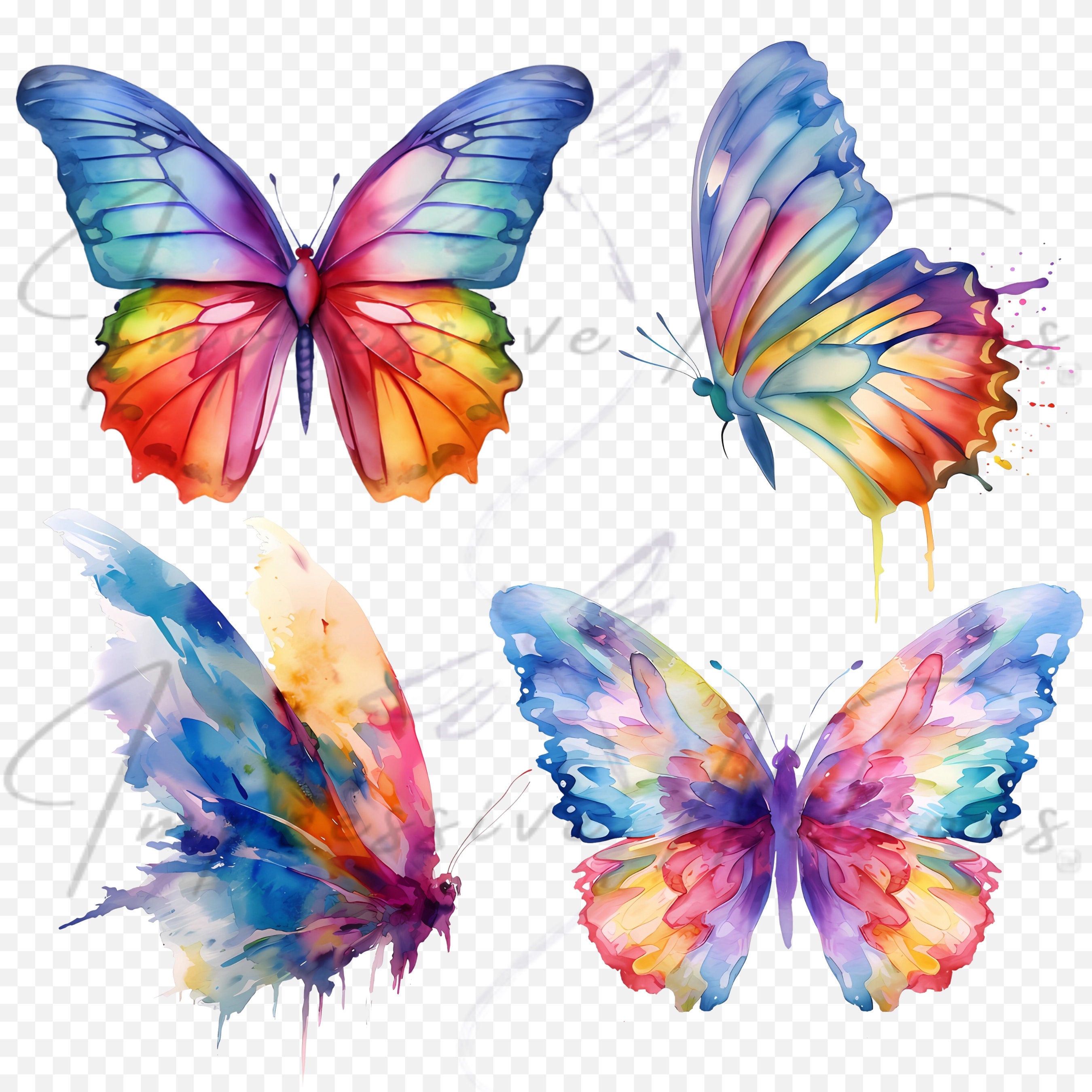 Rainbow Butterflies Watercolor Clipart Elements, Transparent Digital ...
