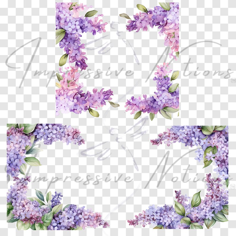 Spring Lilacs Watercolor Clipart Elements, Transparent Digital Png's ...