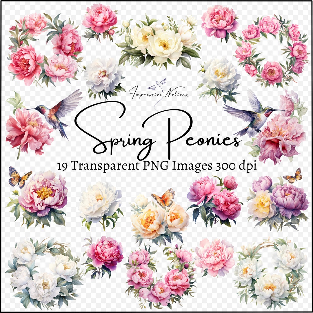 Spring Peonies Watercolor Clipart Elements, Transparent Digital Png's ...