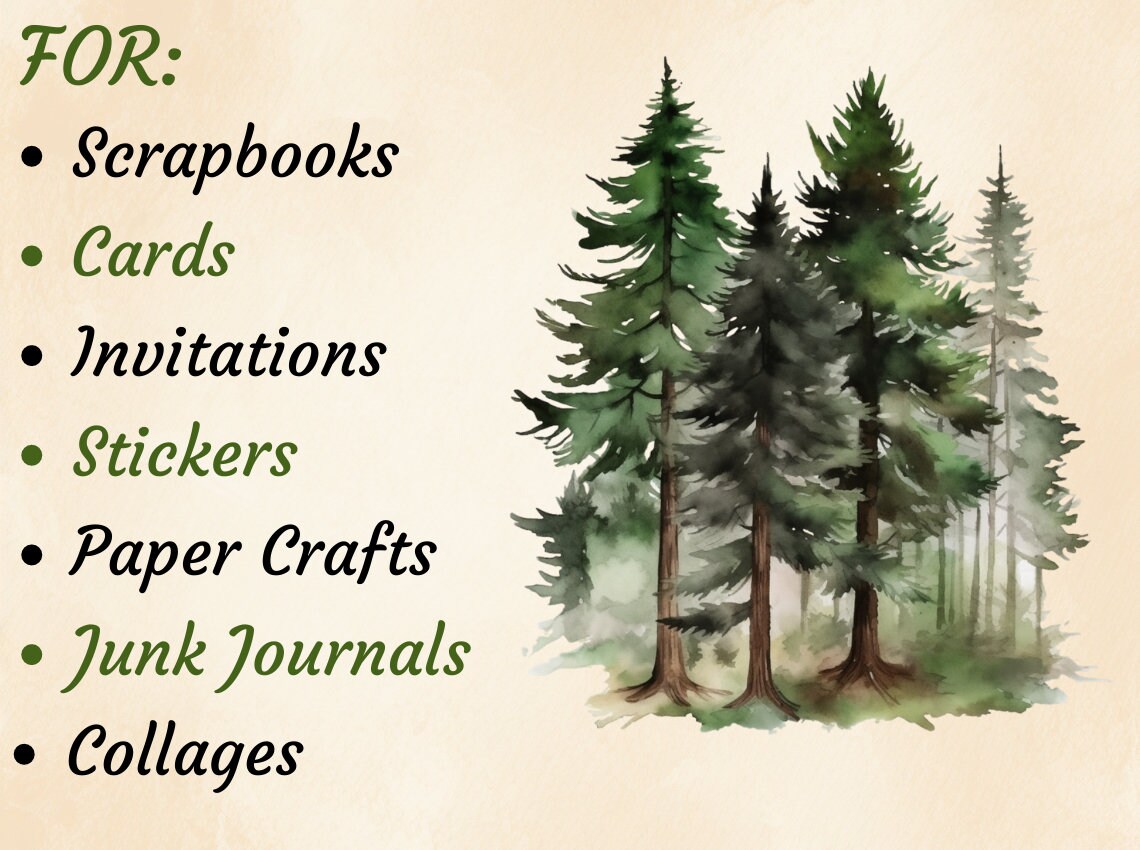 16 PNG Watercolor Pine Forest Clipart, Forest Tree Clip Art, Woodland ...