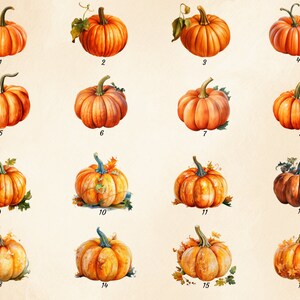 16 PNG Watercolor Pumpkin Clipart, Halloween Clipart, Autumn Clipart ...