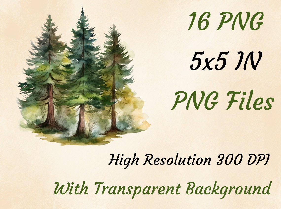 16 PNG Watercolor Pine Forest Clipart, Forest Tree Clip Art, Woodland ...