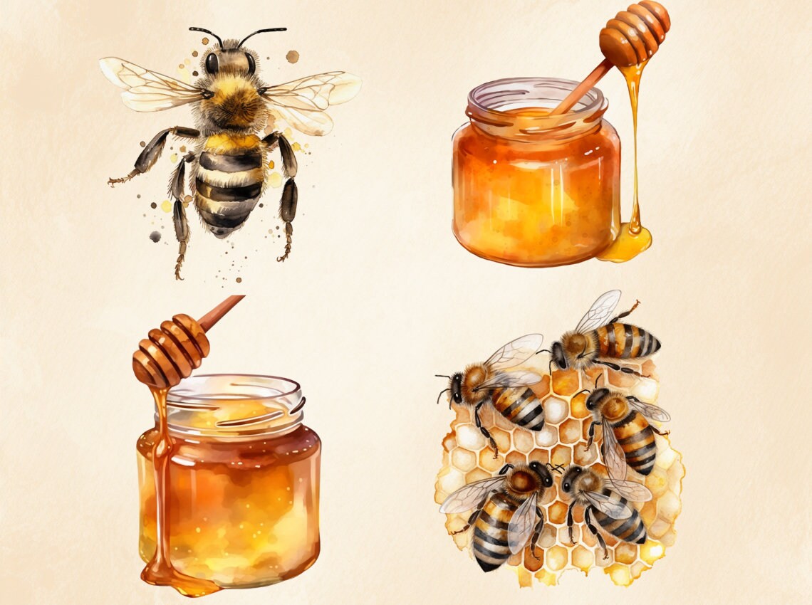 16 PNG Watercolor Honey Bee Clipart Bee Clipart Bees Art - Etsy