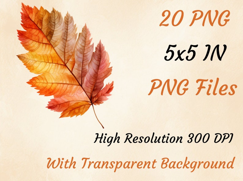 Watercolor Fall Leaves Clipart: Autumn PNG Bundle (digital Download) - Etsy