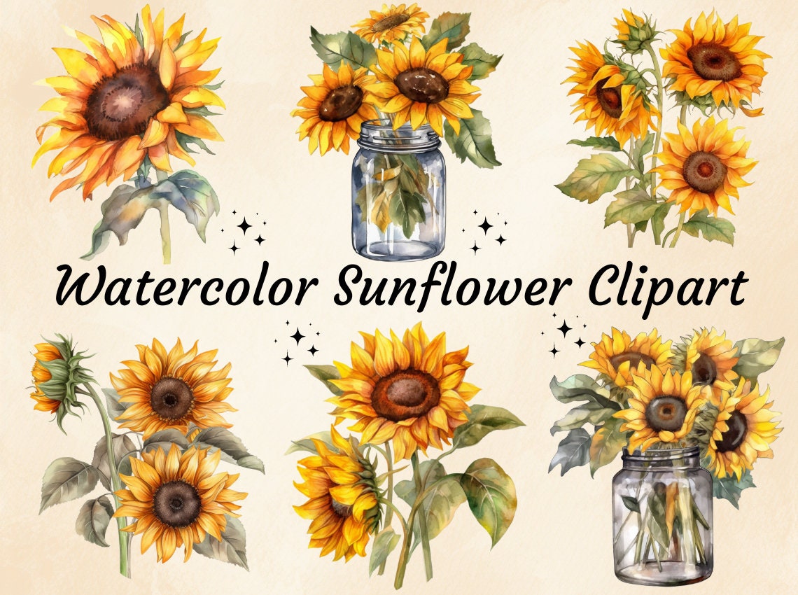 21 PNG Watercolor Sunflower Clipart Bundle Sunflower Clip - Etsy