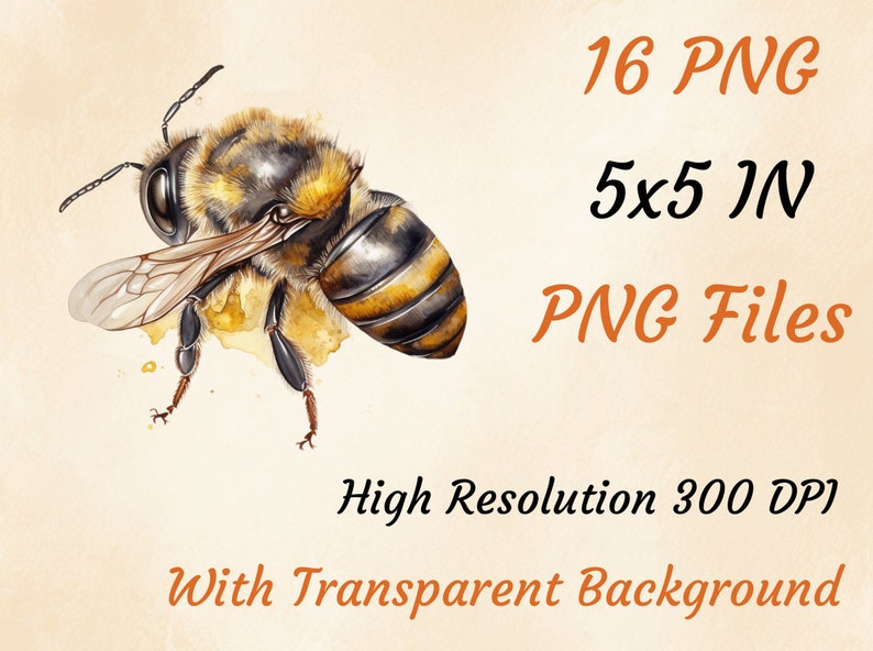 16 PNG Watercolor Honey Bee Clipart Bee Clipart Bees Art - Etsy