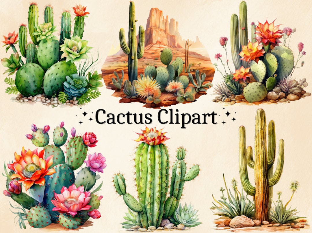 18 PNG Watercolor Cactus Clipart, Desert Cactus, Cacti Clip Art, Cactus ...