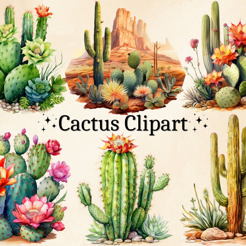 Cactus Clipart - Etsy