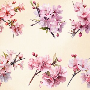 Watercolor Cherry Blossom Clipart: Spring Floral PNG Bundle (digital ...