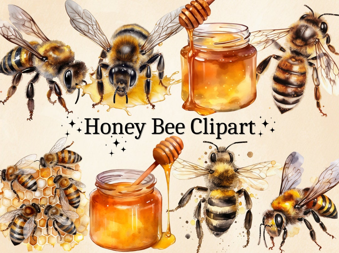 16 PNG Watercolor Honey Bee Clipart, Bee Images, Honey Jar Clipart ...