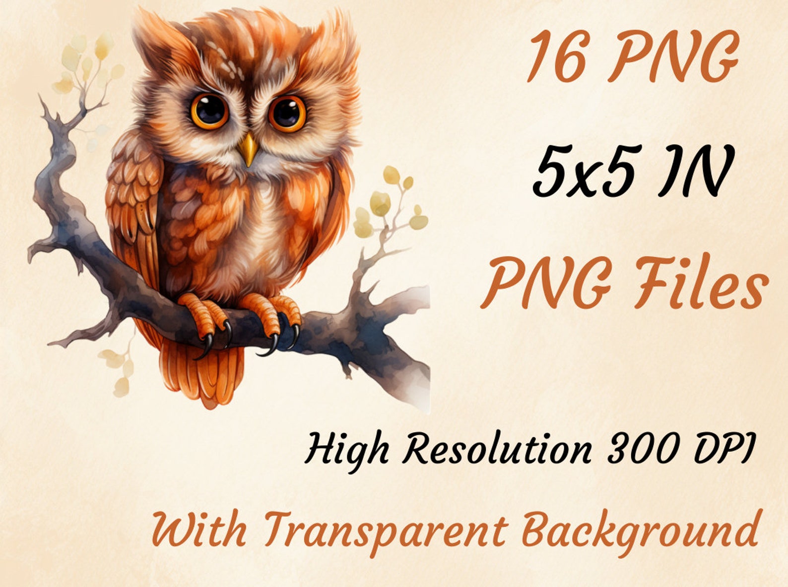 16 PNG Watercolor Owl Clipart, Owl PNG, Owl Images, Colorful Owls, Cute ...
