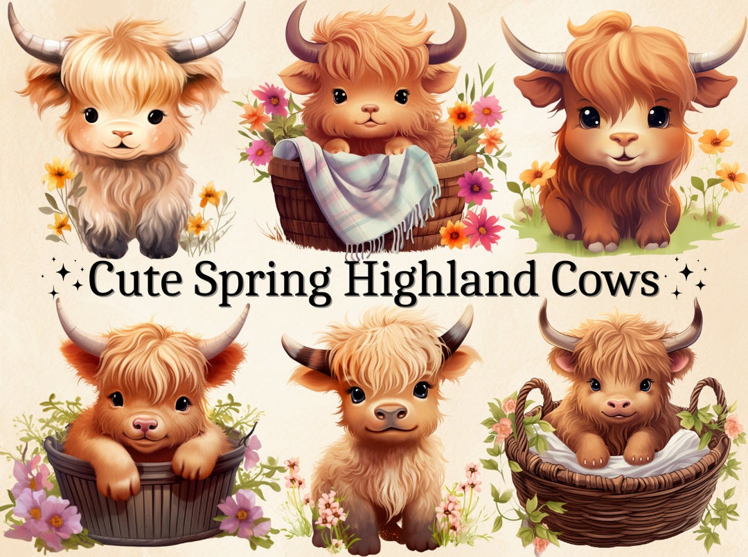 12 PNG Watercolor Spring Highland Cow Clipart, Cute Baby Cows, Cow ...