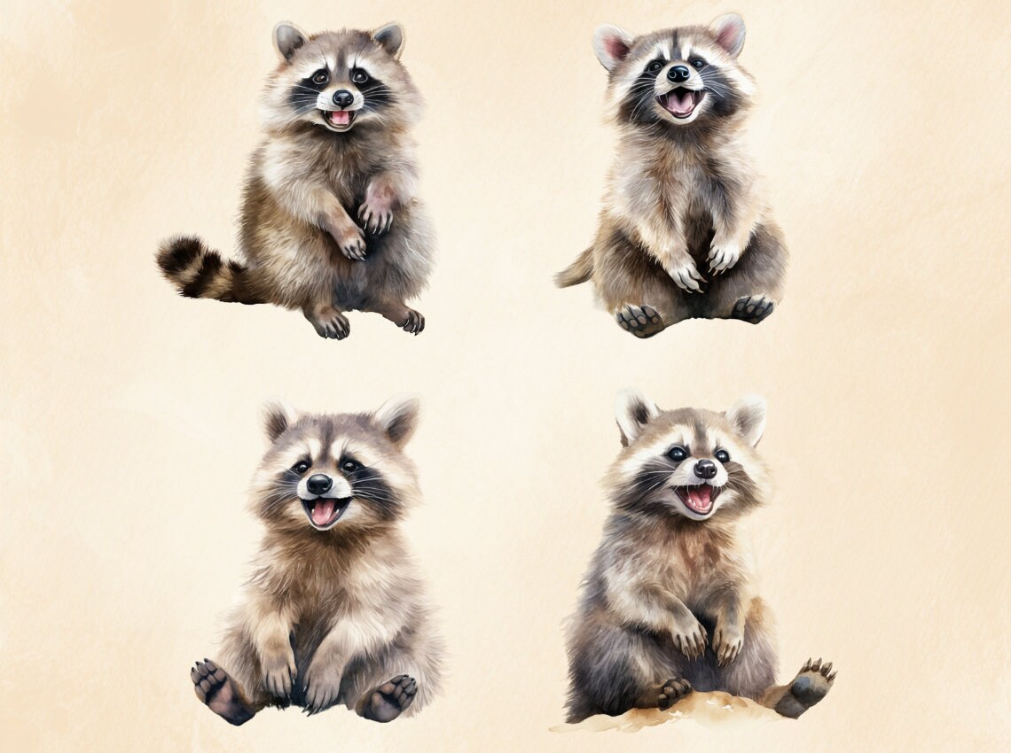 Watercolor Raccoon Clipart: Baby Woodland Animals (PNG Digital Download ...