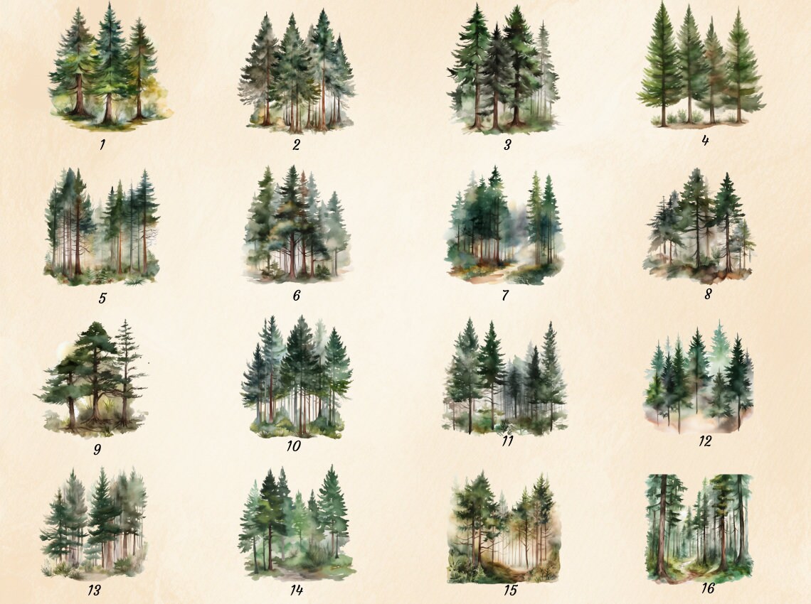 16 PNG Watercolor Pine Forest Clipart, Forest Tree Clip Art, Woodland ...