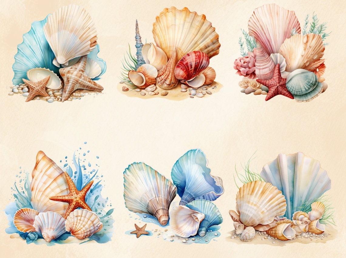 18 PNG Watercolor Seashell Clipart, Ocean Clipart, Beach Clipart ...