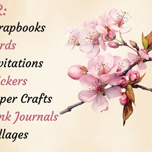 Watercolor Cherry Blossom Clipart: Spring Floral PNG Bundle (digital ...