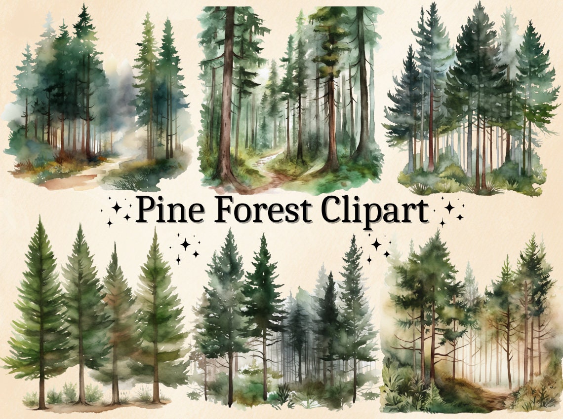 16 PNG Watercolor Pine Forest Clipart, Forest Tree Clip Art, Woodland ...