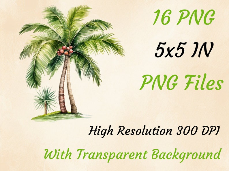 16 PNG Watercolor Palm Tree Clipart, Tropical Trees Clipart, Summer ...
