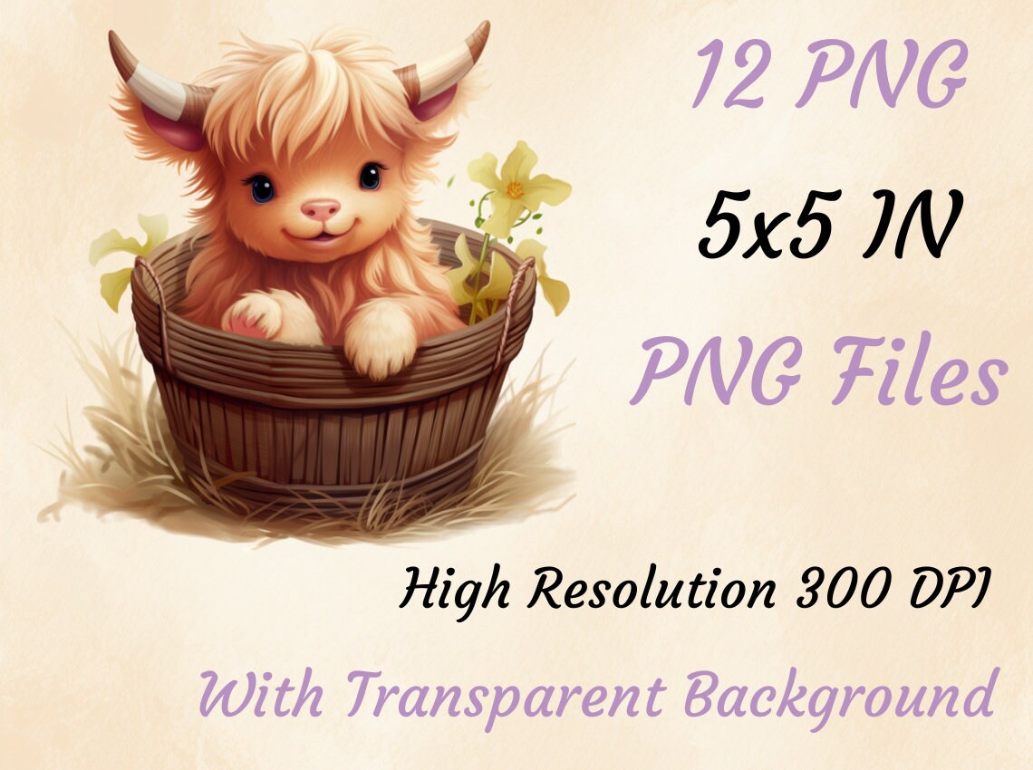 12 PNG Watercolor Spring Highland Cow Clipart, Cute Baby Cows, Cow ...
