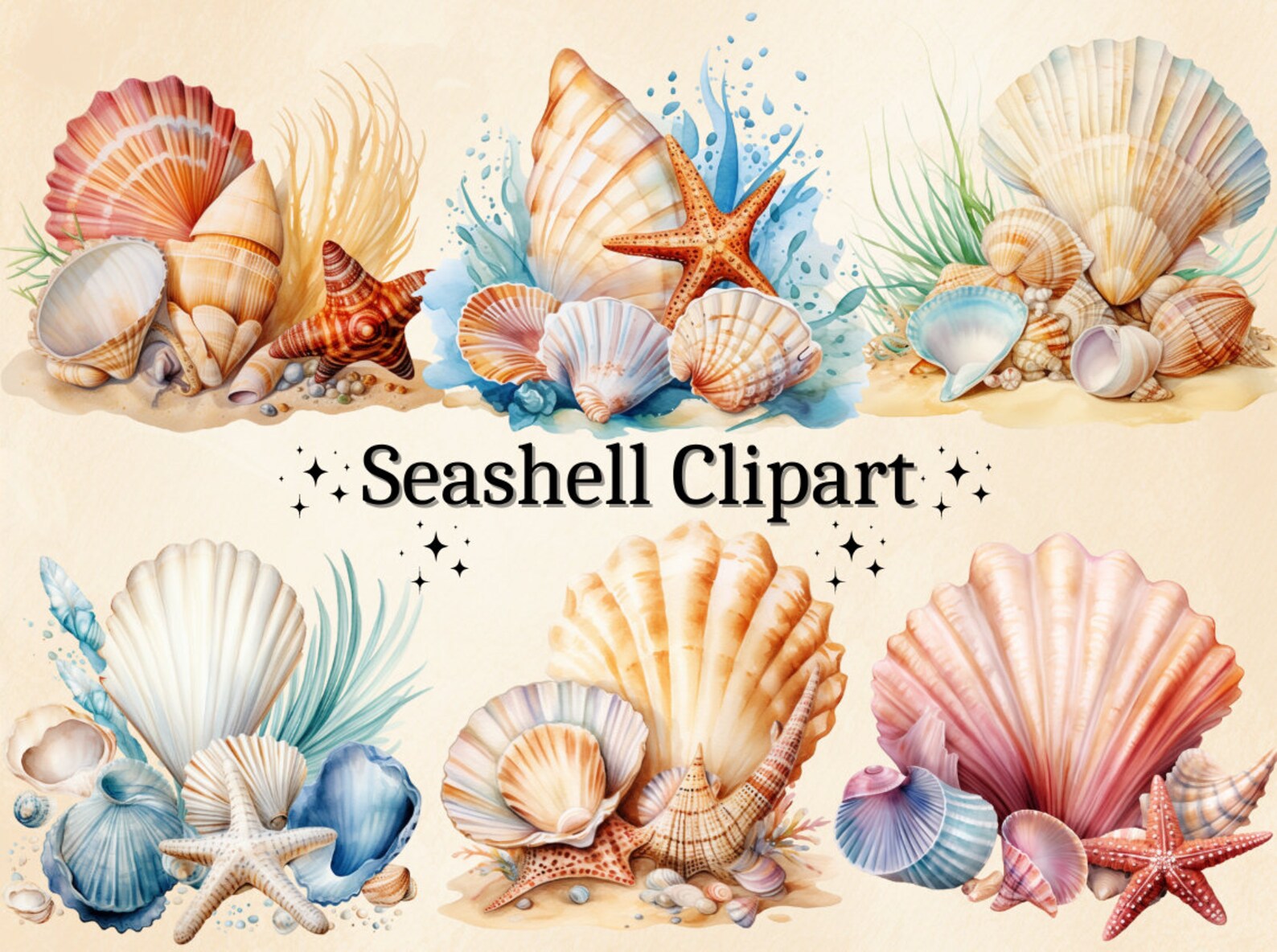 18 PNG Watercolor Seashell Clipart, Ocean Clipart, Beach Clipart ...