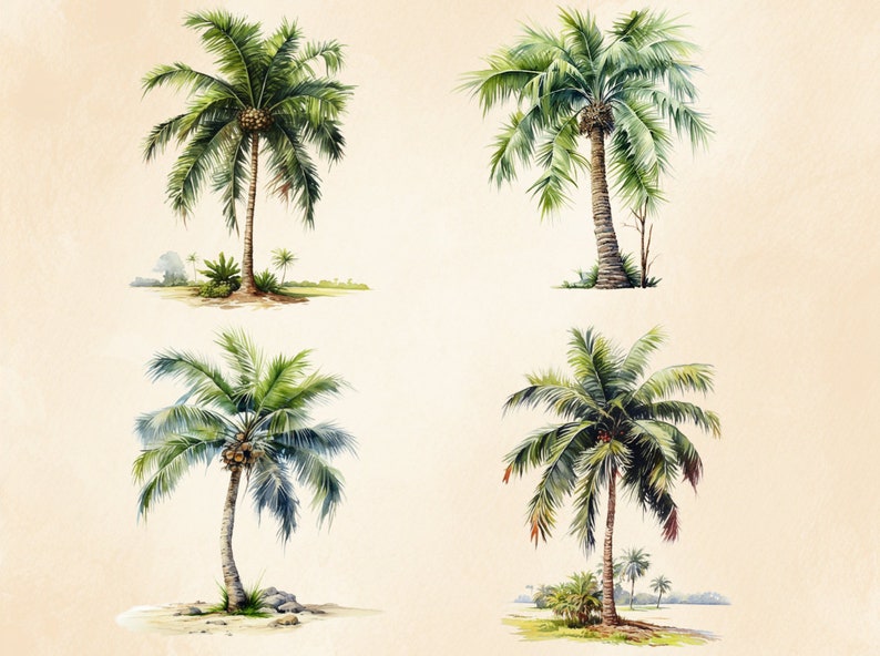16 PNG Watercolor Palm Tree Clipart, Tropical Trees Clipart, Summer ...