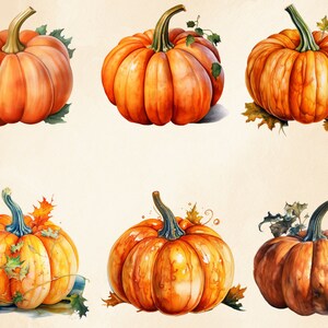 16 PNG Watercolor Pumpkin Clipart, Halloween Clipart, Autumn Clipart ...