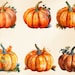 16 PNG Watercolor Pumpkin Clipart Halloween Clipart Autumn - Etsy