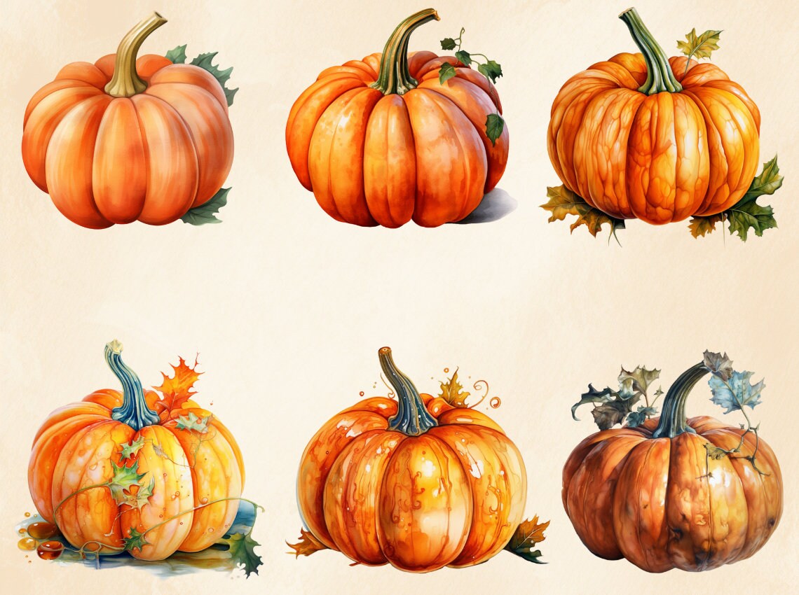 16 PNG Watercolor Pumpkin Clipart Halloween Clipart Autumn - Etsy