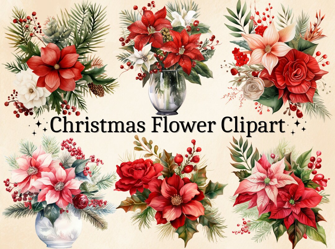 Watercolor Christmas Flower Clipart: Red Poinsettia Bouquets (PNG ...