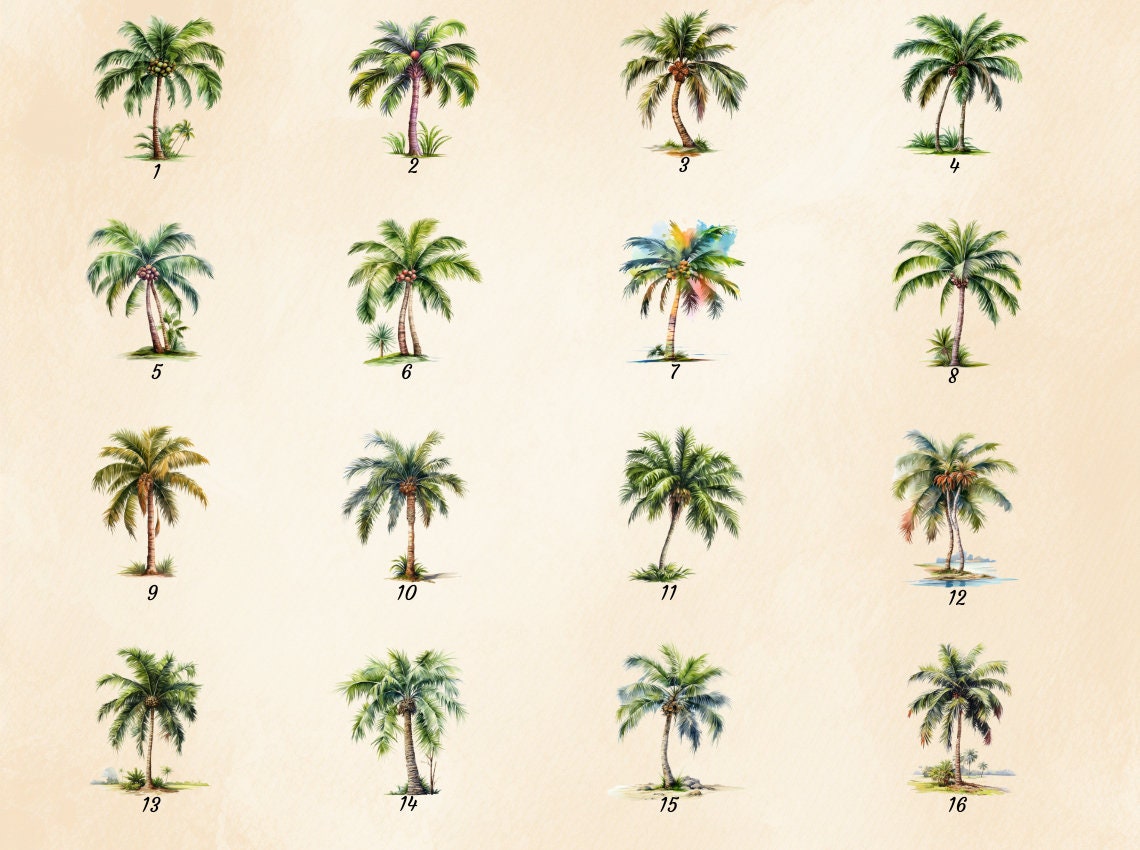 16 PNG Watercolor Palm Tree Clipart, Tropical Trees Clipart, Summer ...