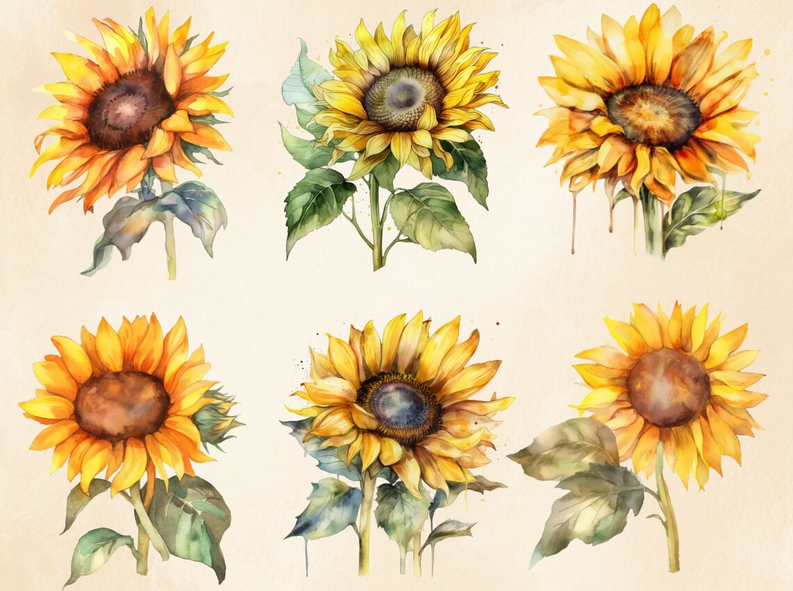 21 PNG Watercolor Sunflower Clipart, Bundle Sunflower Clip Art ...