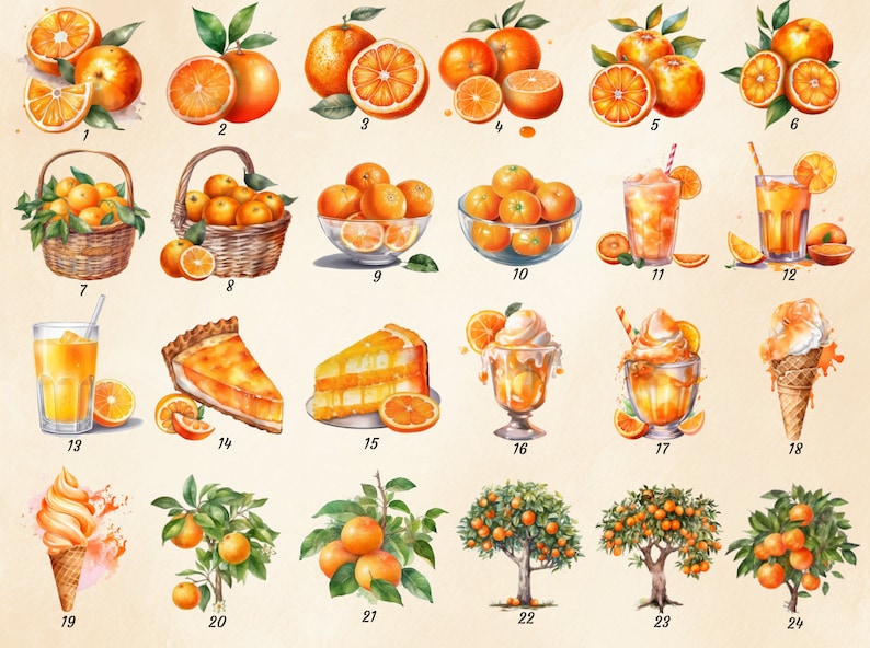 24 PNG Watercolor Oranges Clipart, Summer Oranges Clip Art, Citrus ...