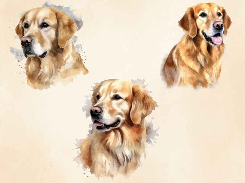 Watercolor Golden Retriever Clipart: PNG Dog Art (digital Download) - Etsy