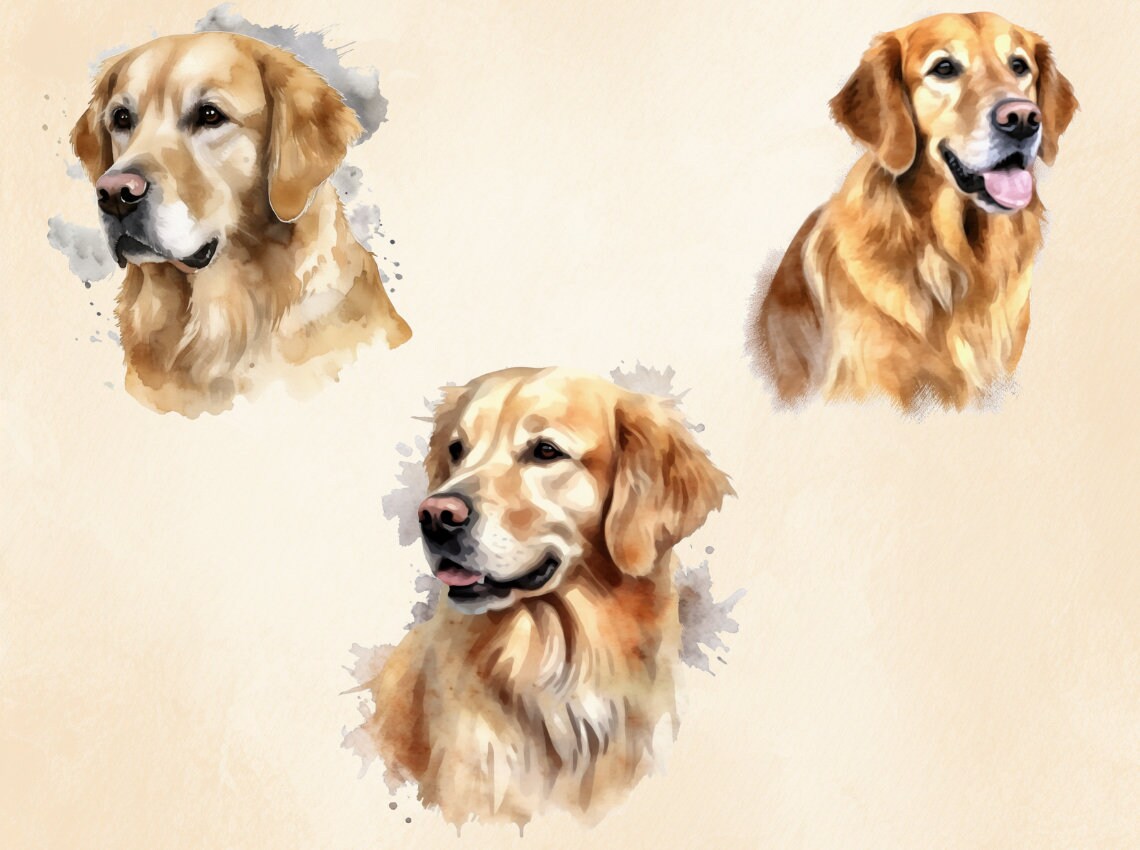21 PNG Watercolor Golden Retriever Clipart, Dog Clipart, Golden ...