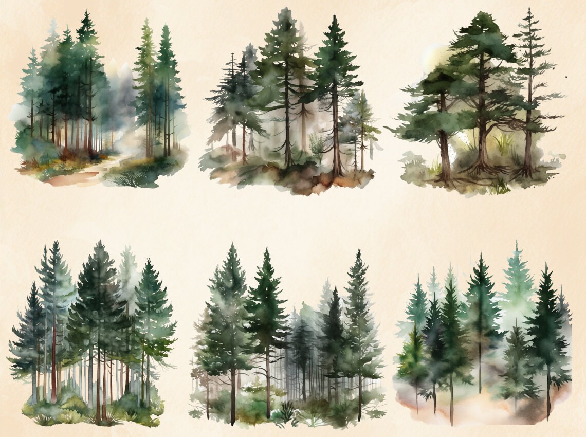 16 PNG Watercolor Pine Forest Clipart, Forest Tree Clip Art, Woodland ...