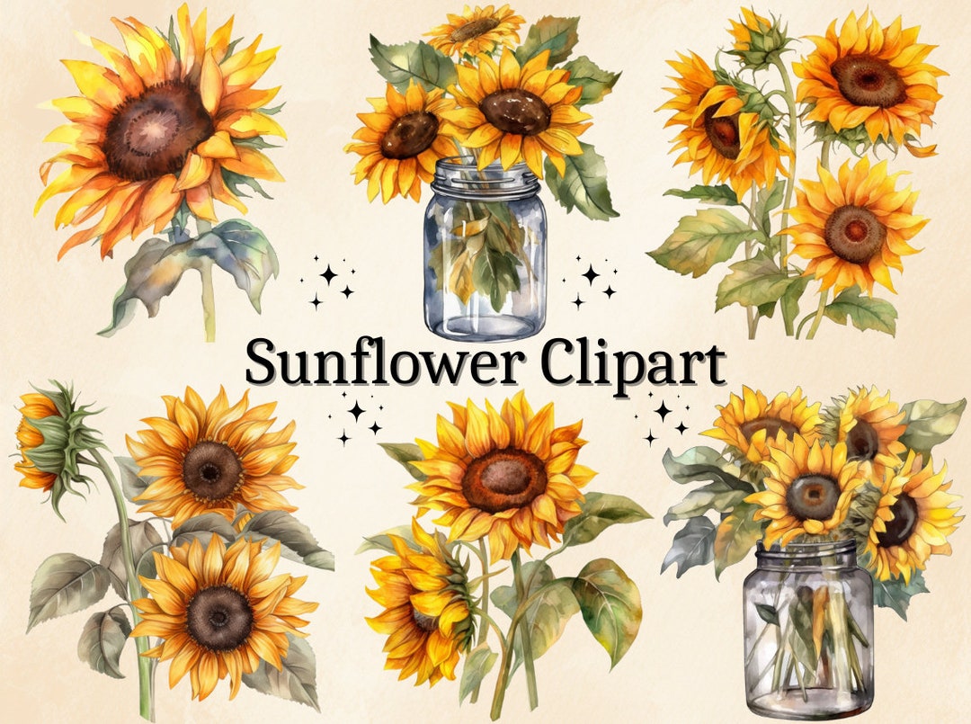 21 PNG Watercolor Sunflower Clipart, Bundle Sunflower Clip Art ...