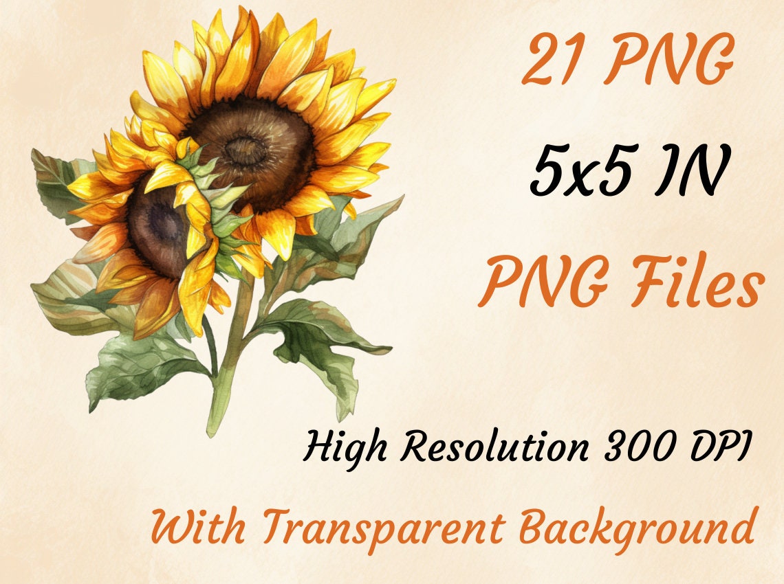 21 PNG Watercolor Sunflower Clipart, Bundle Sunflower Clip Art ...