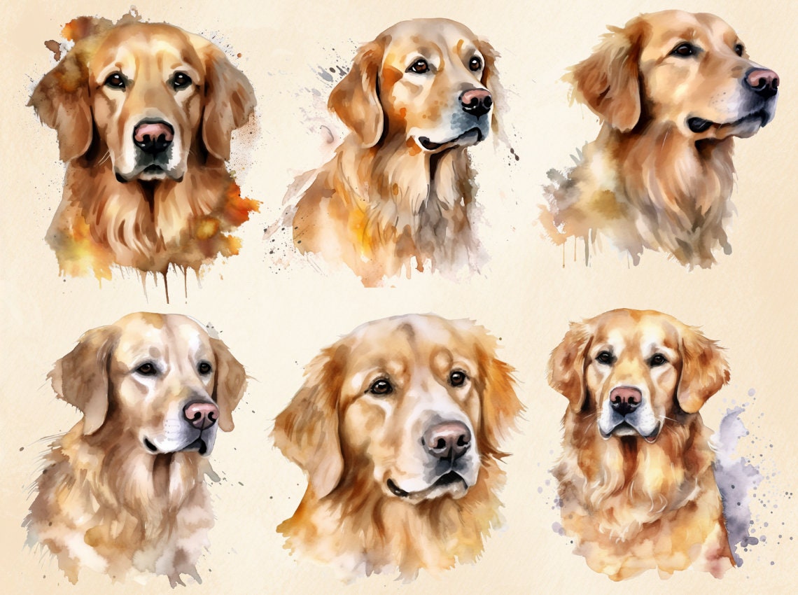 21 PNG Watercolor Golden Retriever Clipart, Dog Clipart, Golden ...