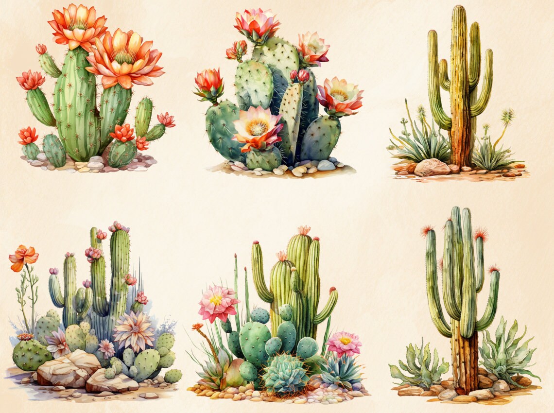 Watercolor Cactus Clipart: Desert Cacti PNG Images (digital Bundle) - Etsy