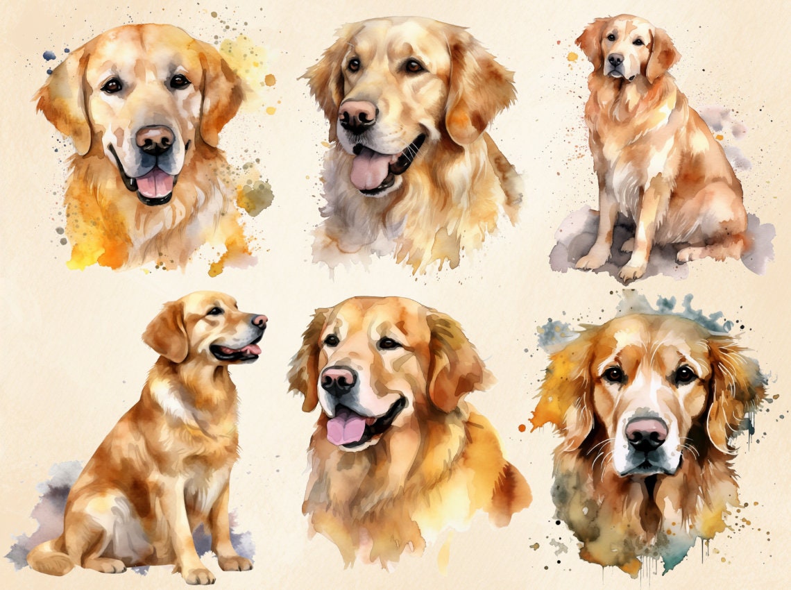 21 PNG Watercolor Golden Retriever Clipart, Dog Clipart, Golden ...