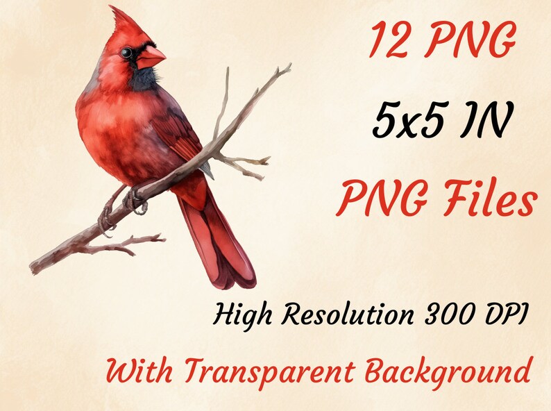 Watercolor Red Cardinal Clipart: PNG Bundle (digital Download) - Etsy