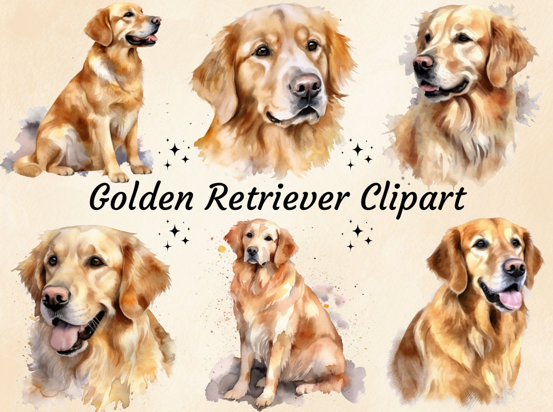 21 PNG Watercolor Golden Retriever Clipart Dog Clipart - Etsy